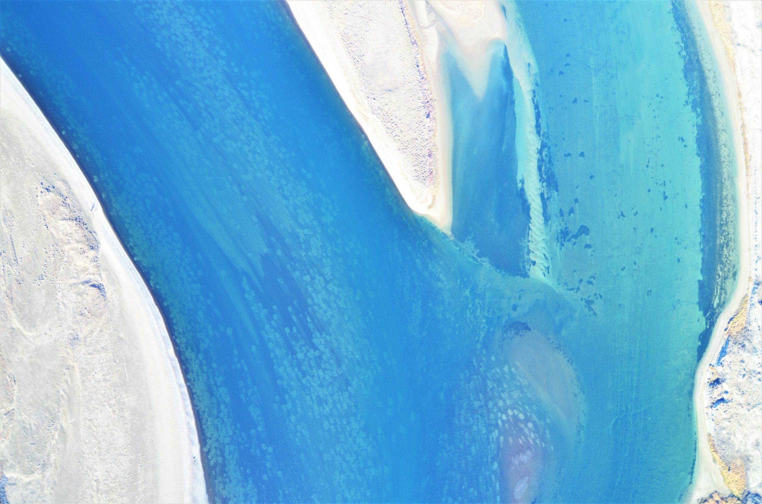 Advising the Salmon Recovery Funding Board - Environmental Assessment ...