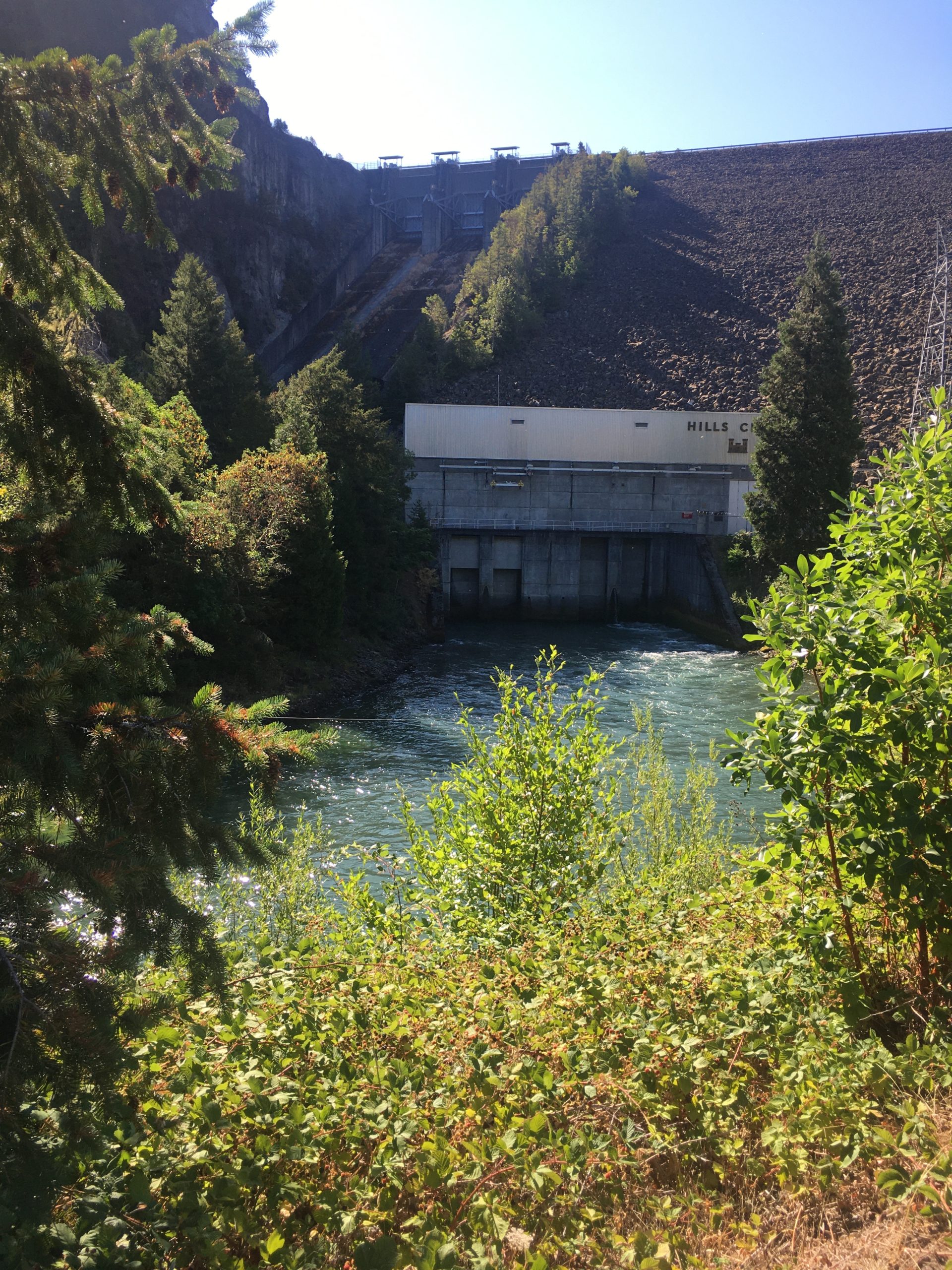 Willamette Valley Downstream Fish Passage Monitoring Via Rotary Screw ...