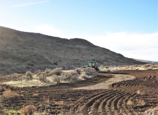 Ecosystem Restoration | Habitat Restoration | EAS